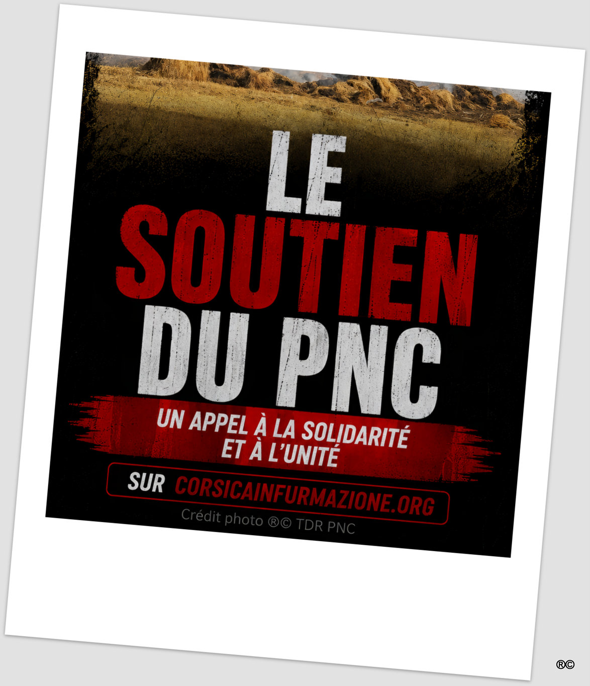 Incendie du hangar de Jean-Louis Paoli : le PNC apporte son soutien à ...